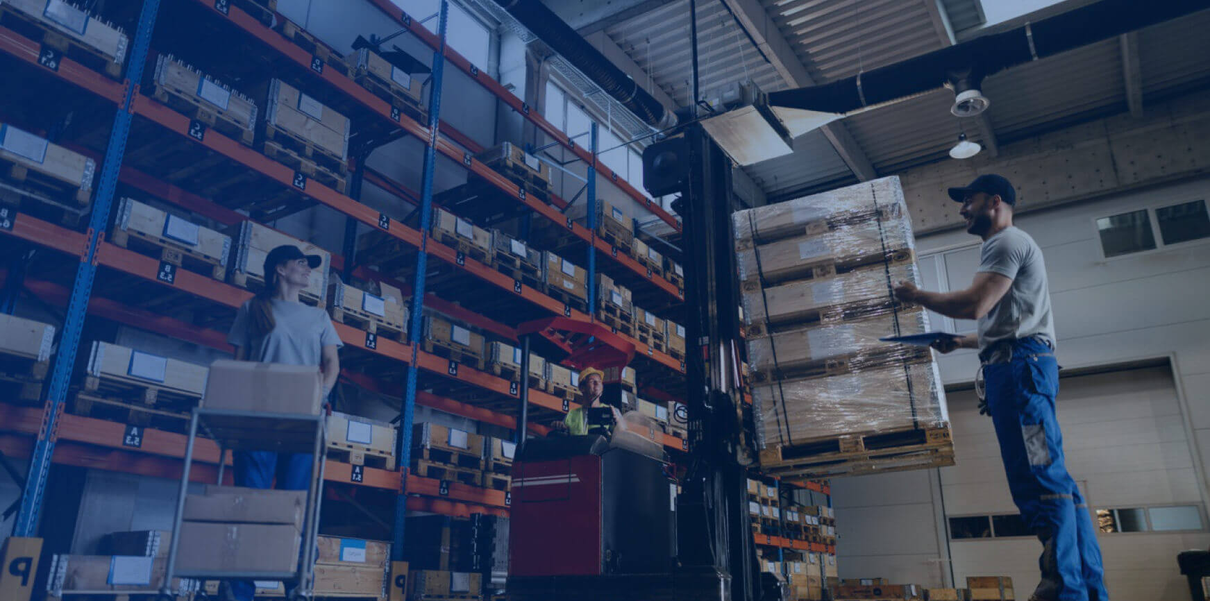 Dynamics 365 Business Central Navision | Supply Chain Software